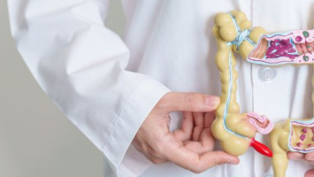Syndrome de l'intestin irritable : symptômes, traitement... | Pharmacie ...